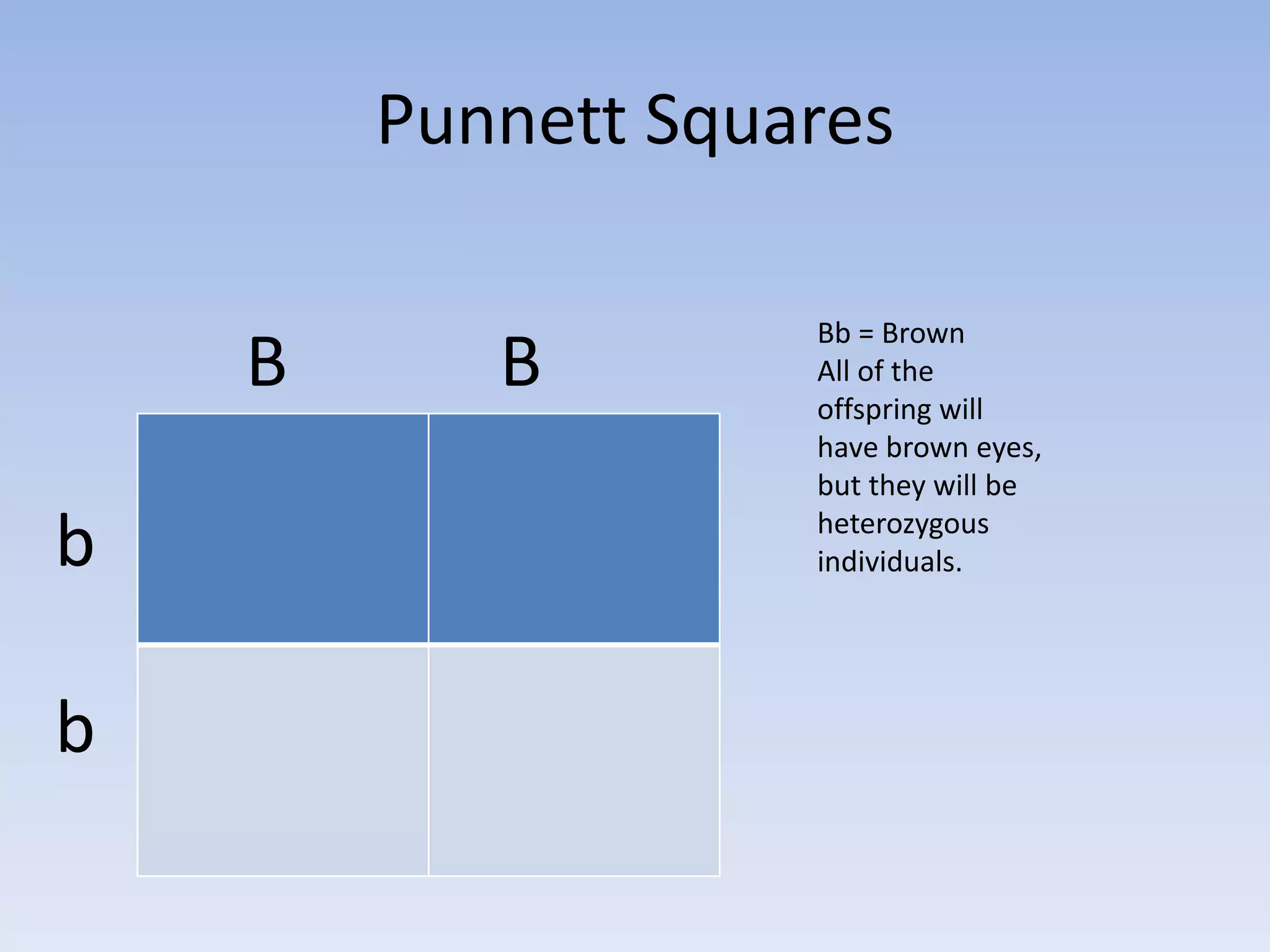 Punnett Squares | PPTX