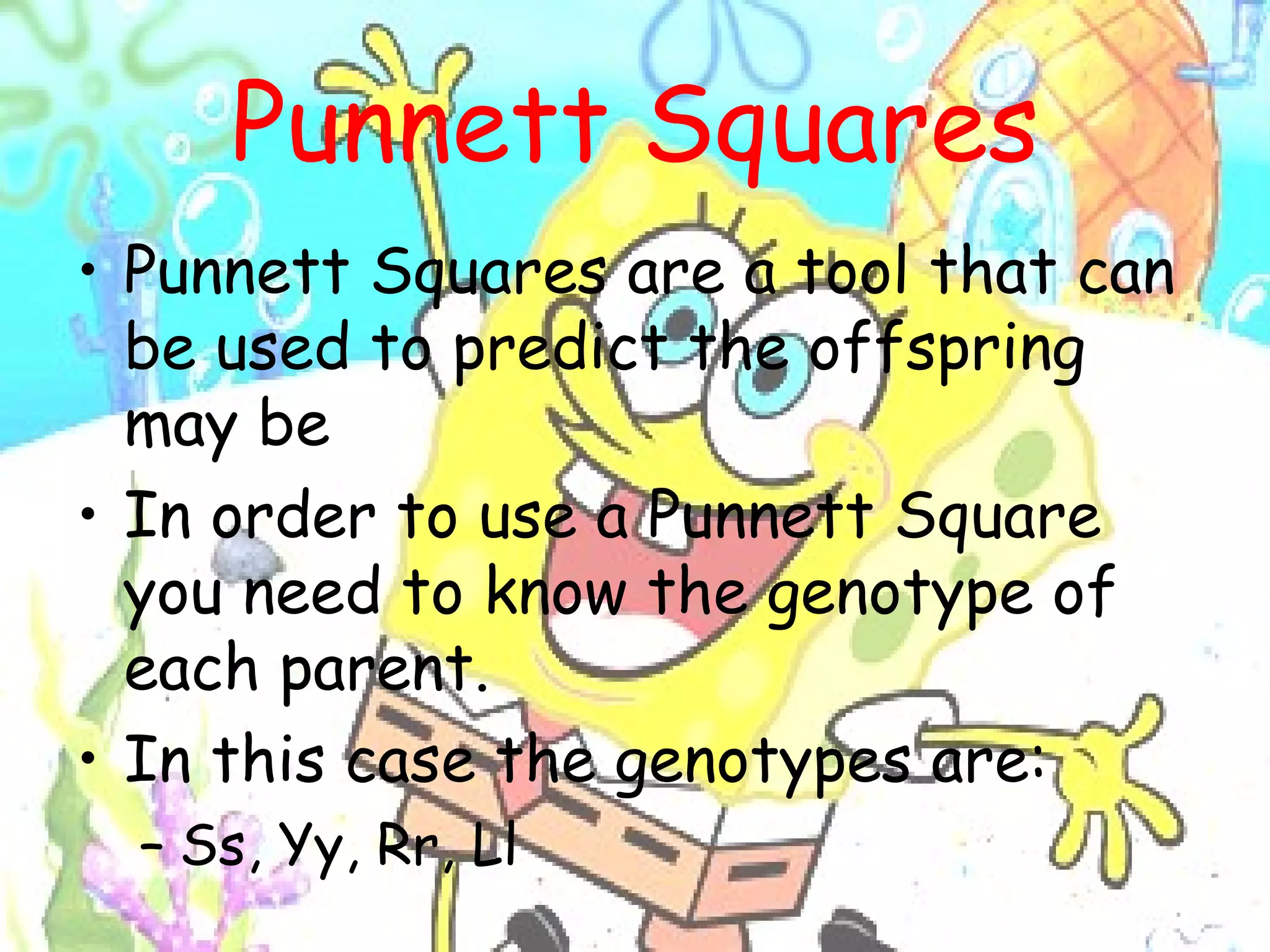 Punnett Squares 9 4 | PPT