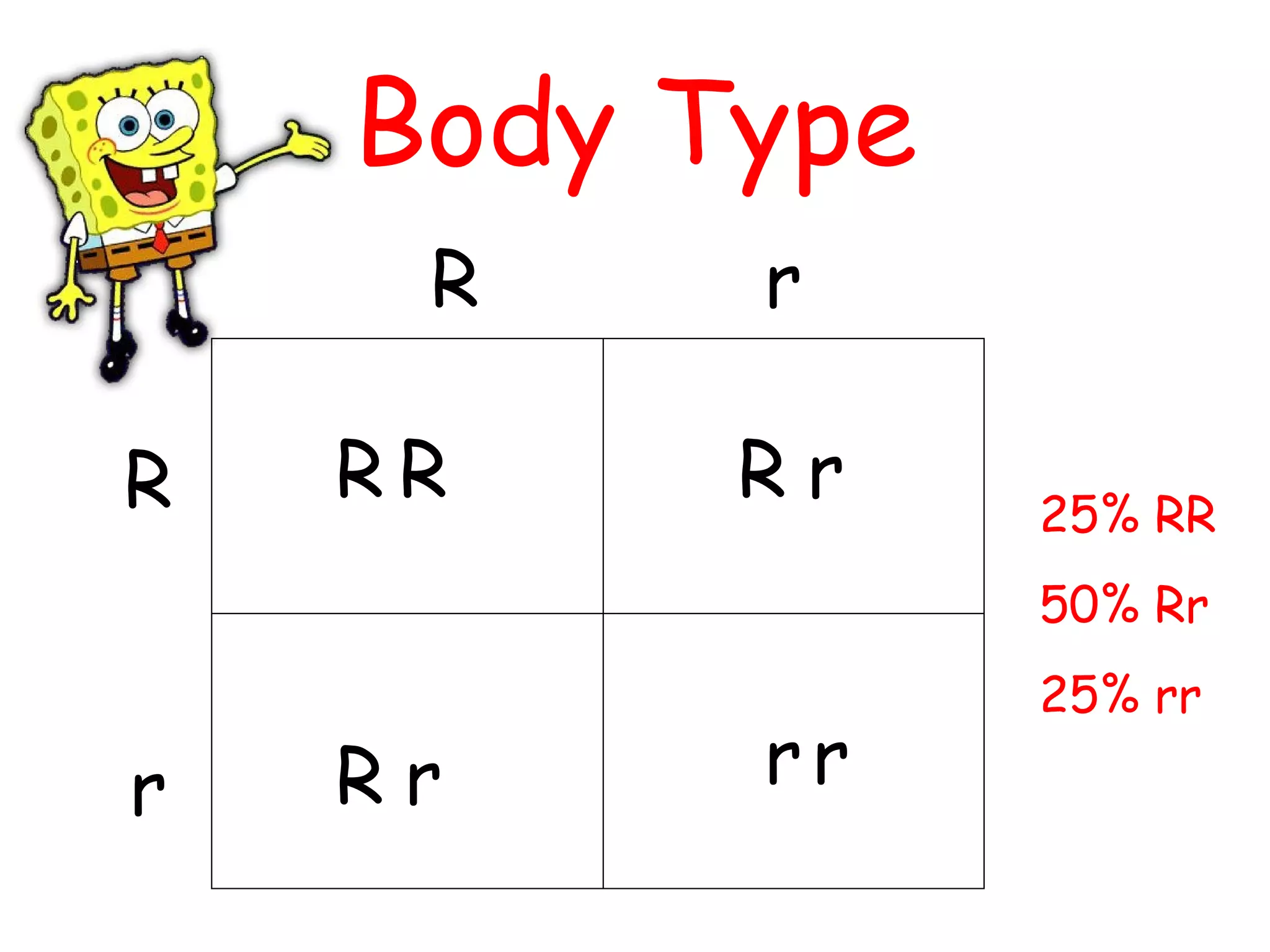 Punnett squares 9 4 | PPT | Genetics | Science
