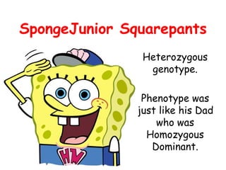 Punnett squares 9 4 | PPT