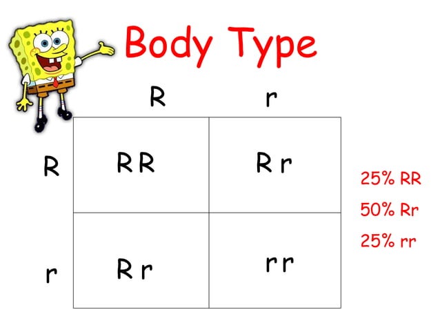 Punnett squares 9 4 | PPT | Genetics | Science