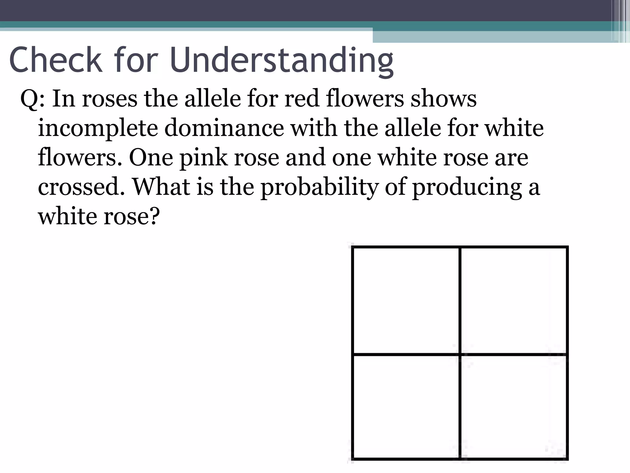 Incomplete Dominance Punnett Square