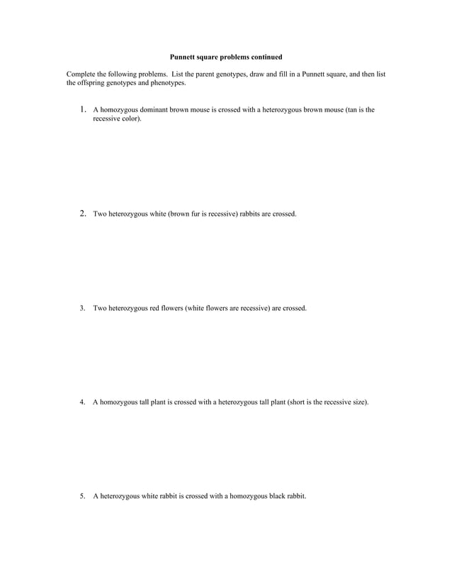Punnett Square Worksheet | DOC