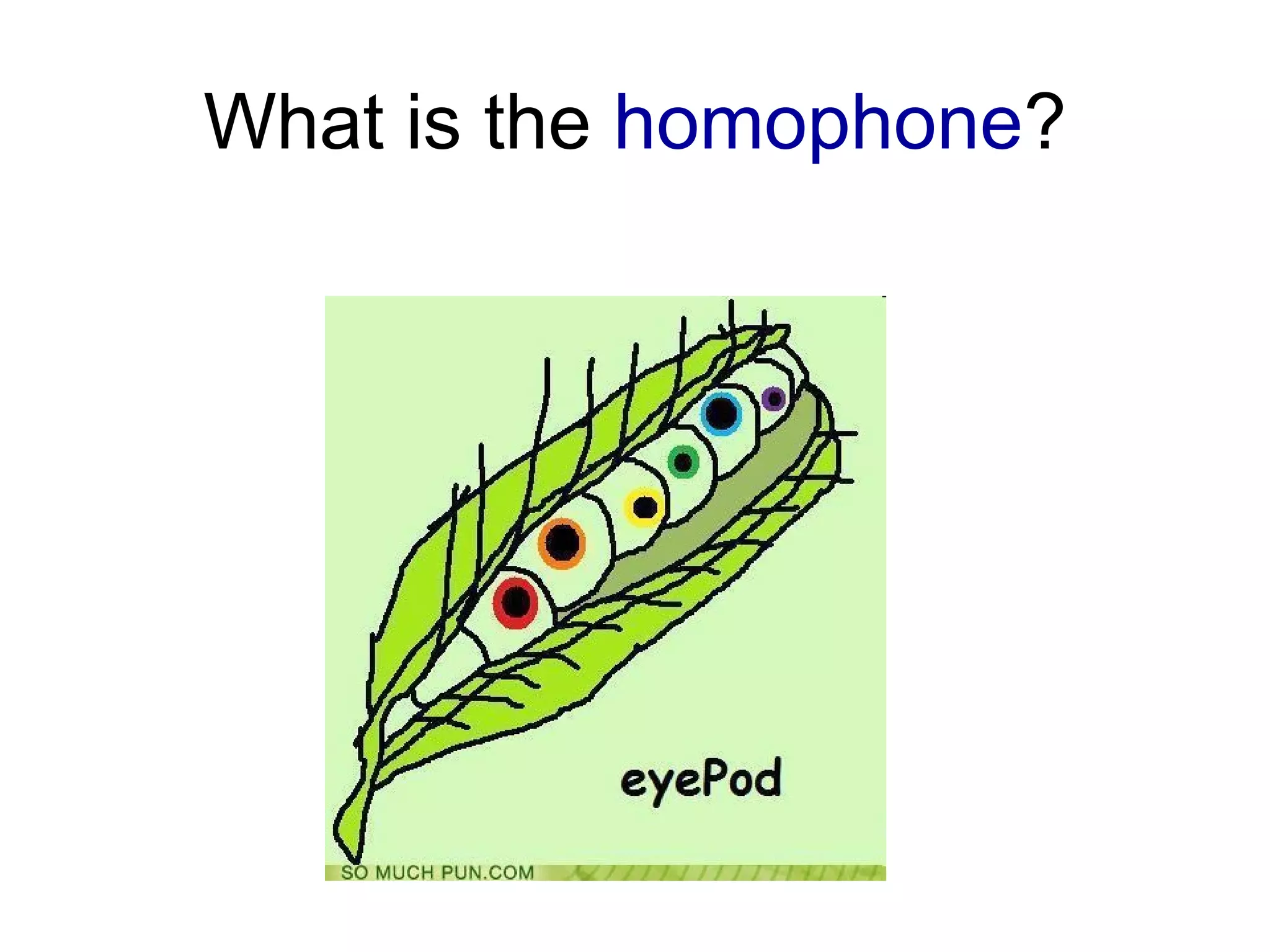 Puns - Homophones and Homonyms | PPT