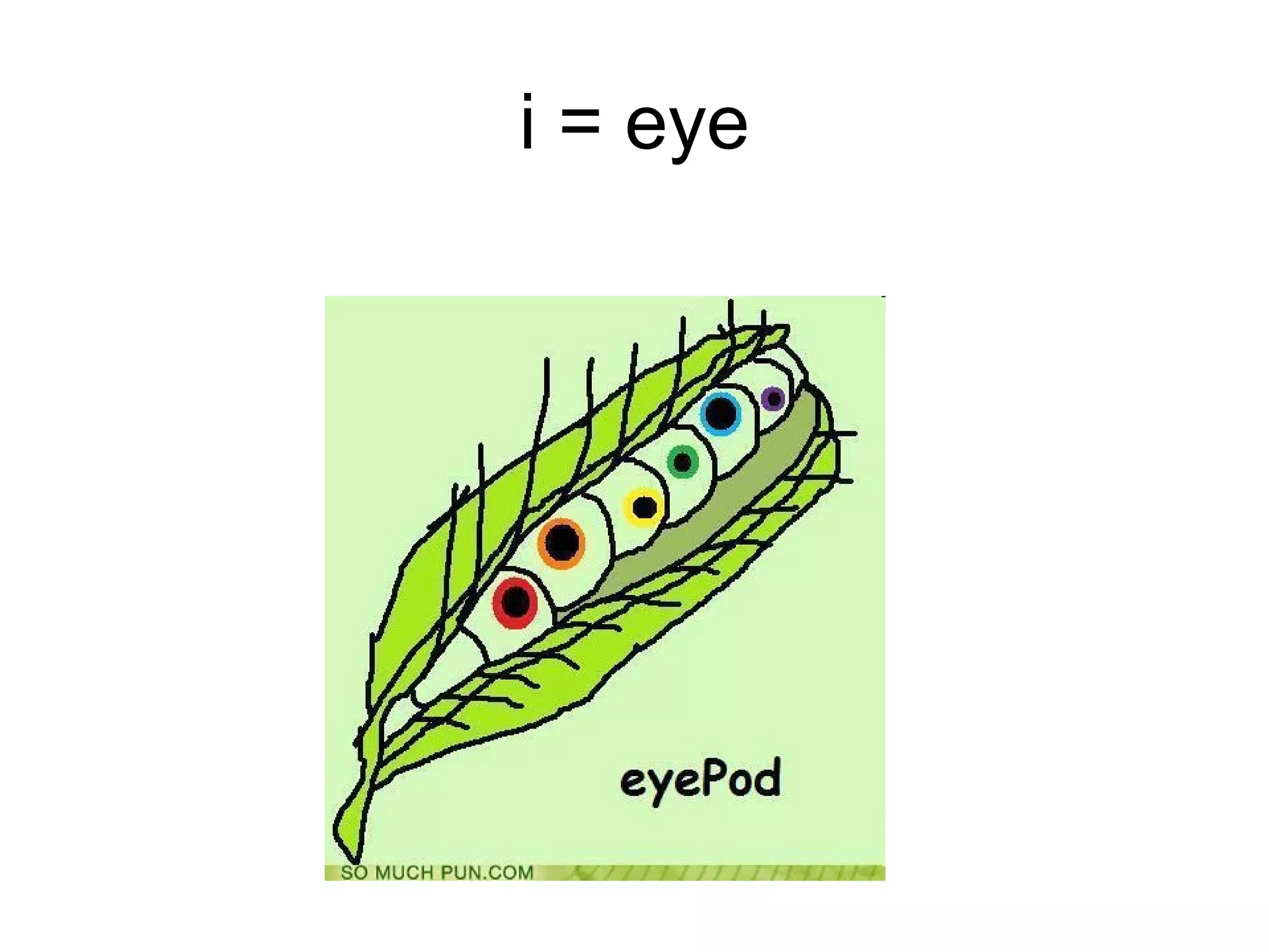 Puns - Homophones and Homonyms | PPT