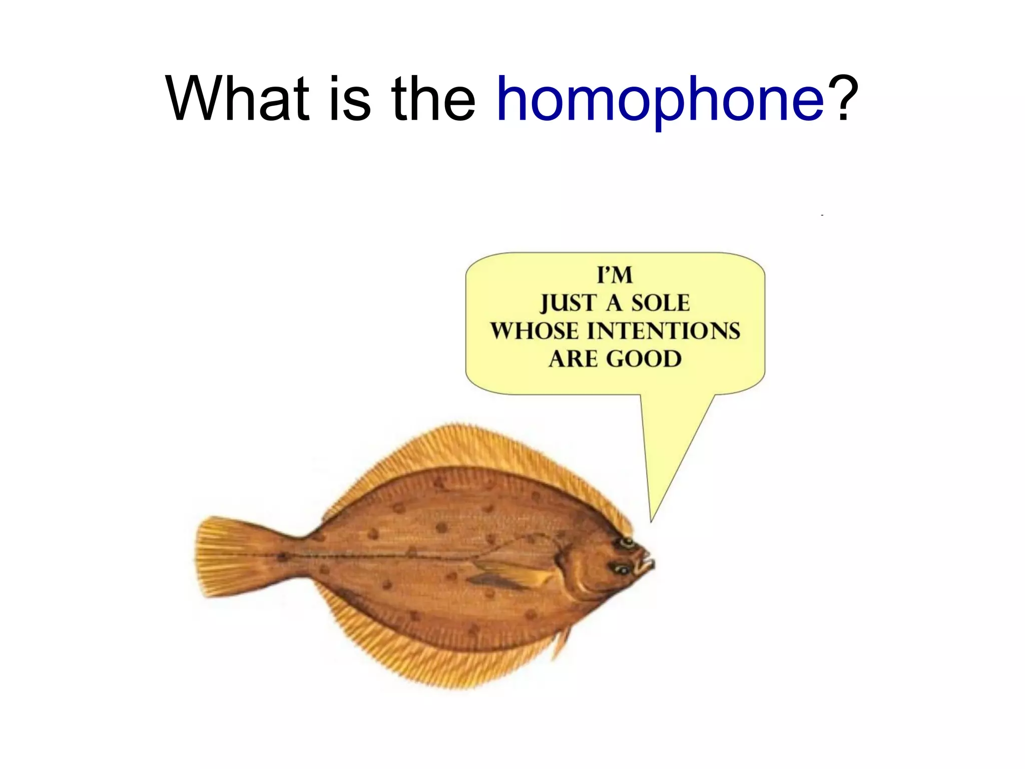 Puns - Homophones and Homonyms | PPT