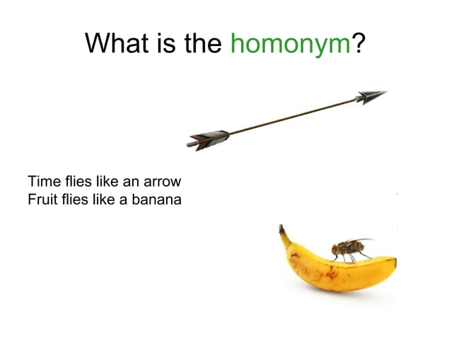 Puns - Homophones and Homonyms | PPT