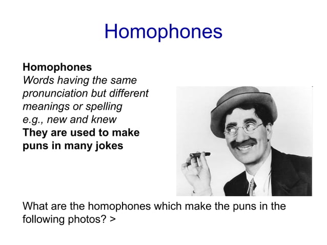 Puns - Homophones and Homonyms | PPT
