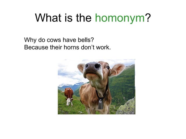 Puns - Homophones and Homonyms | PPT