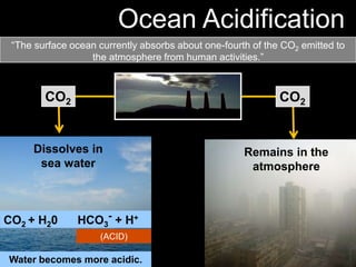 Global Warming and its effects | PPTX
