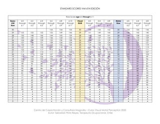 Puntajes VMI.pdf