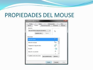 Punterodelmouse | PPT
