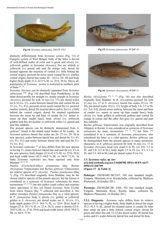 Puntius nelsoni, new species | PDF | Fish and Aquariums | Pets