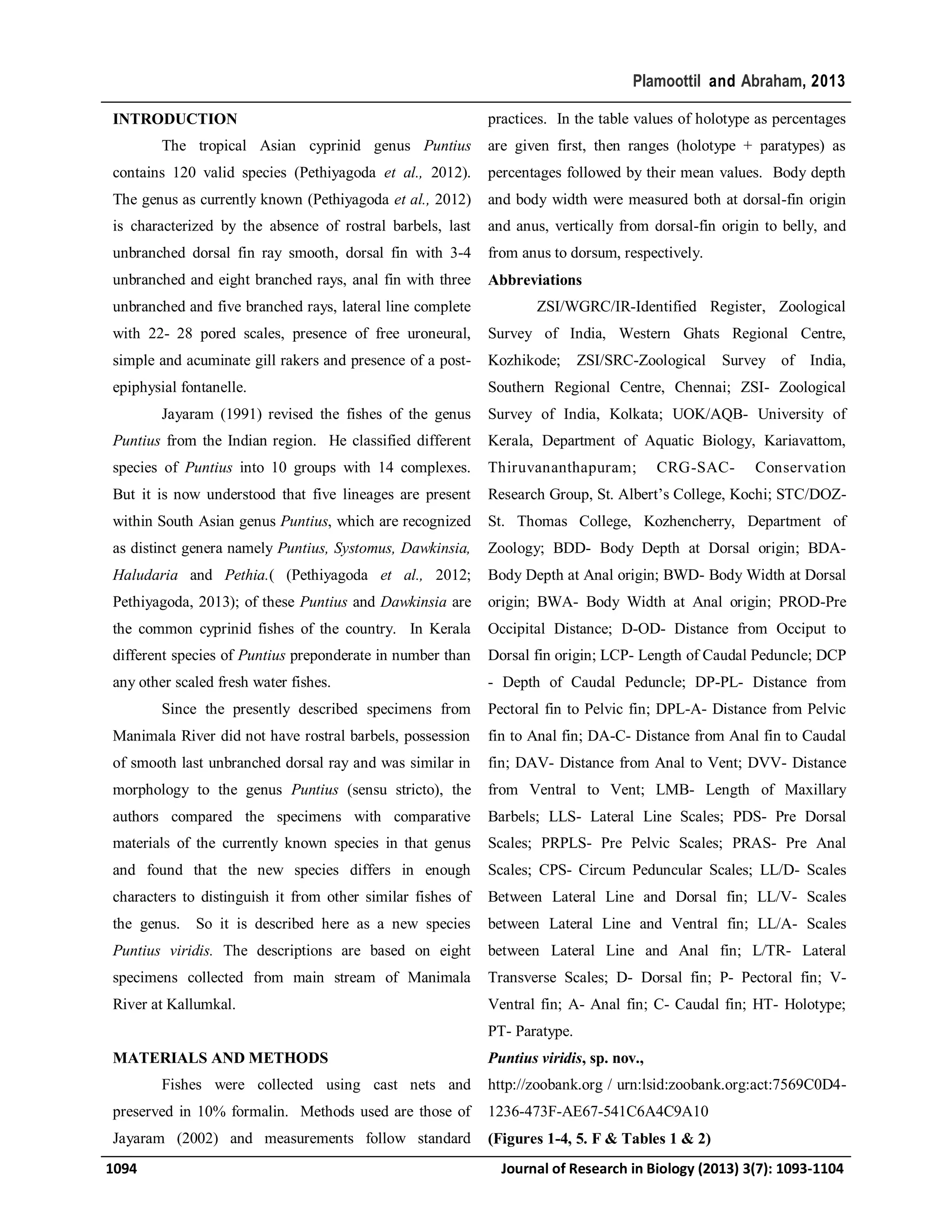 Puntius viridis, a new species | PDF