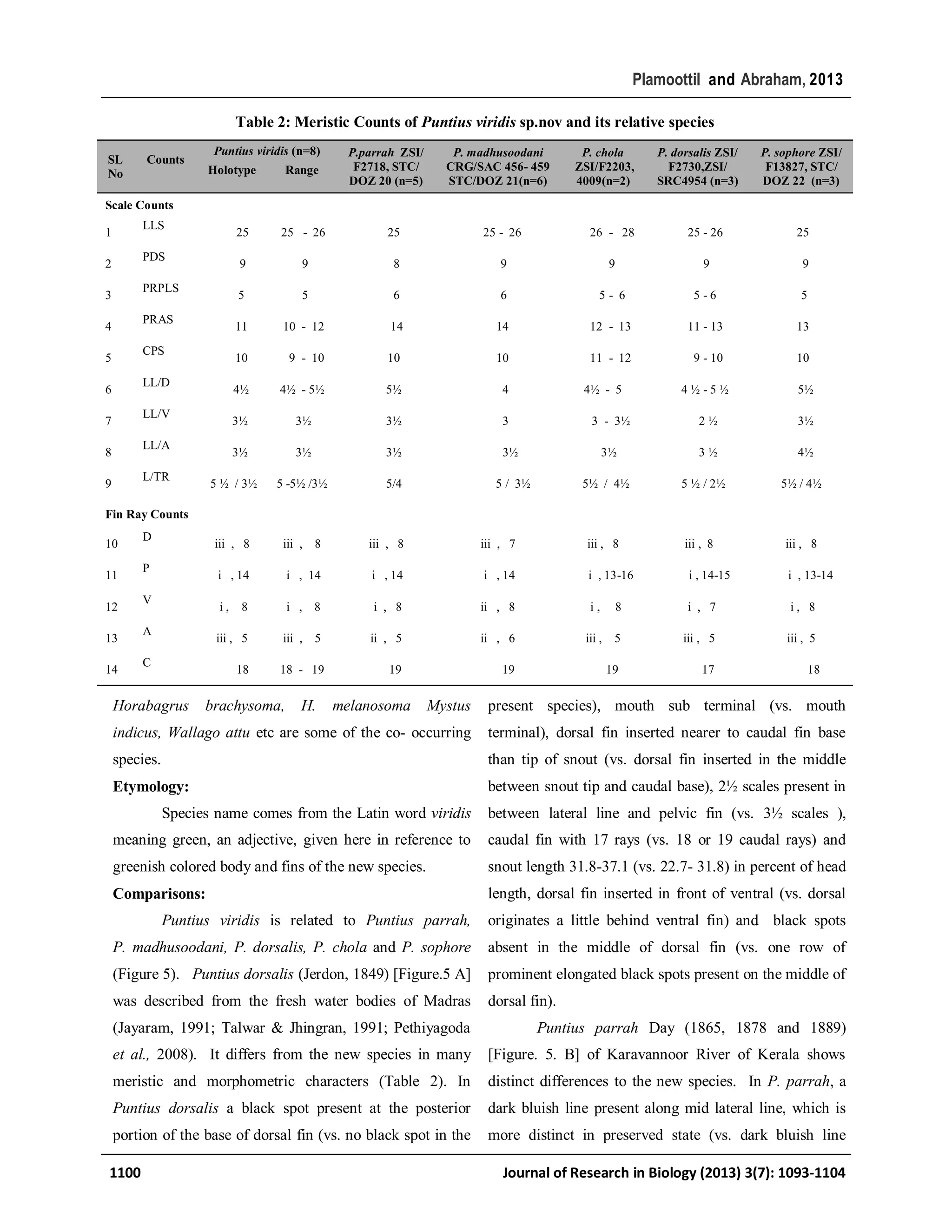 Puntius viridis, a new species | PDF