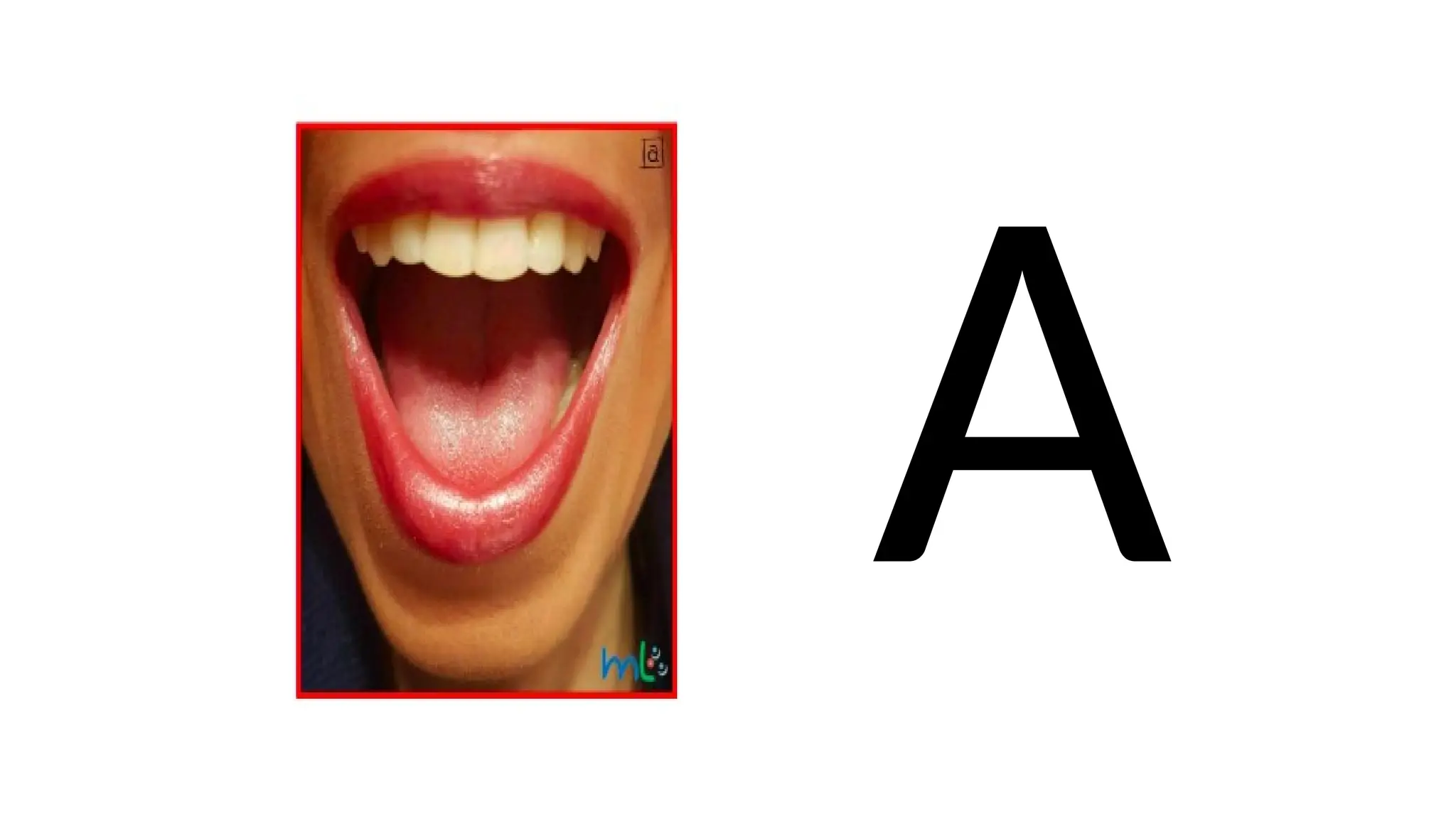 punto articulatorio fonemas vocalicos.pptx