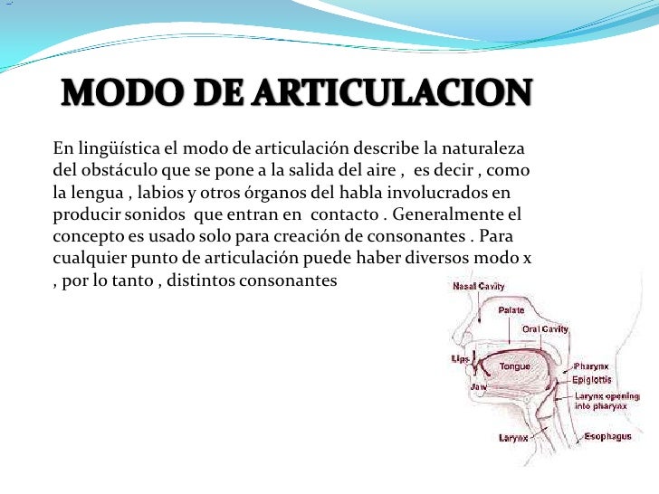 Punto de articulación