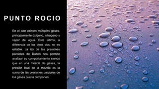Punto Rocio.pptx