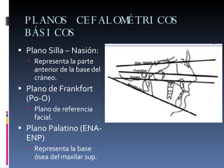 Puntos Cefalometricos | PPT