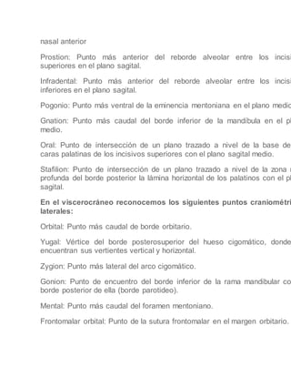 Puntos craneometrico1 | DOCX