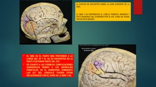 PUNTOS CRANEOMETRICOS APLIXADOS A NEUROCIRUGIA | PPTX