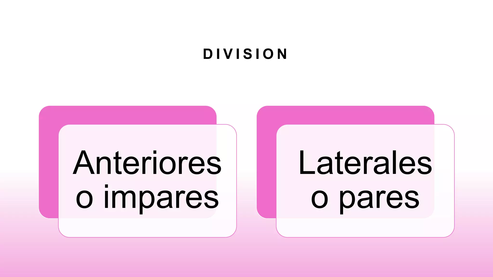 puntos craneometricos | PPTX