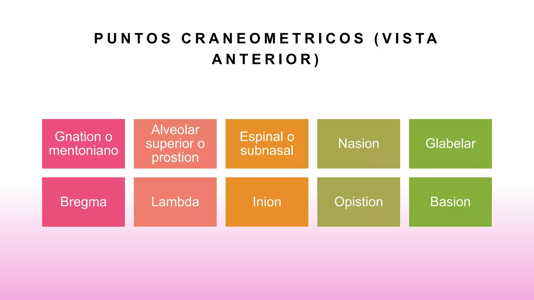 puntos craneometricos | PPTX