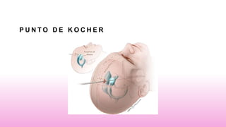 puntos craneometricos | PPTX