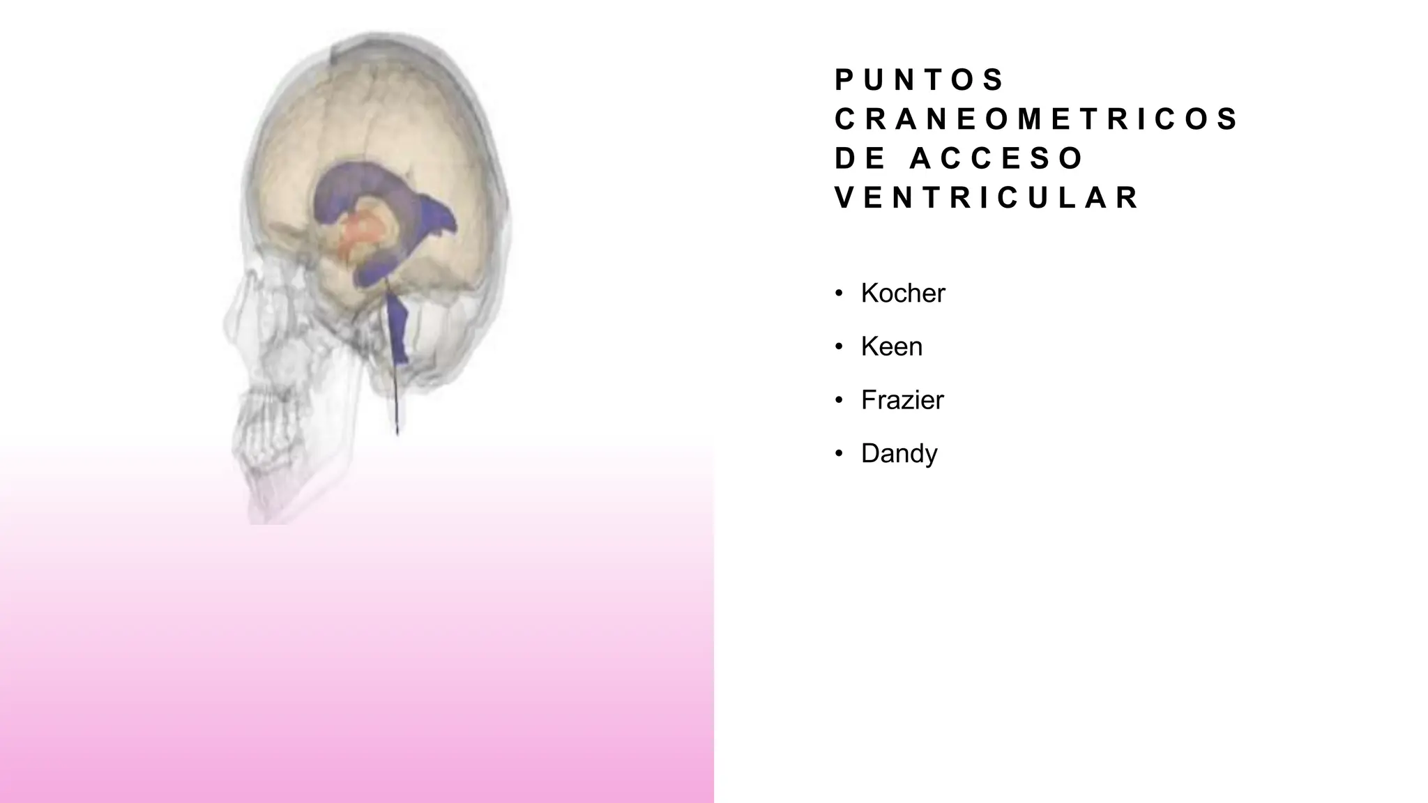 puntos craneometricos milagros.pptx de importancia | PPT