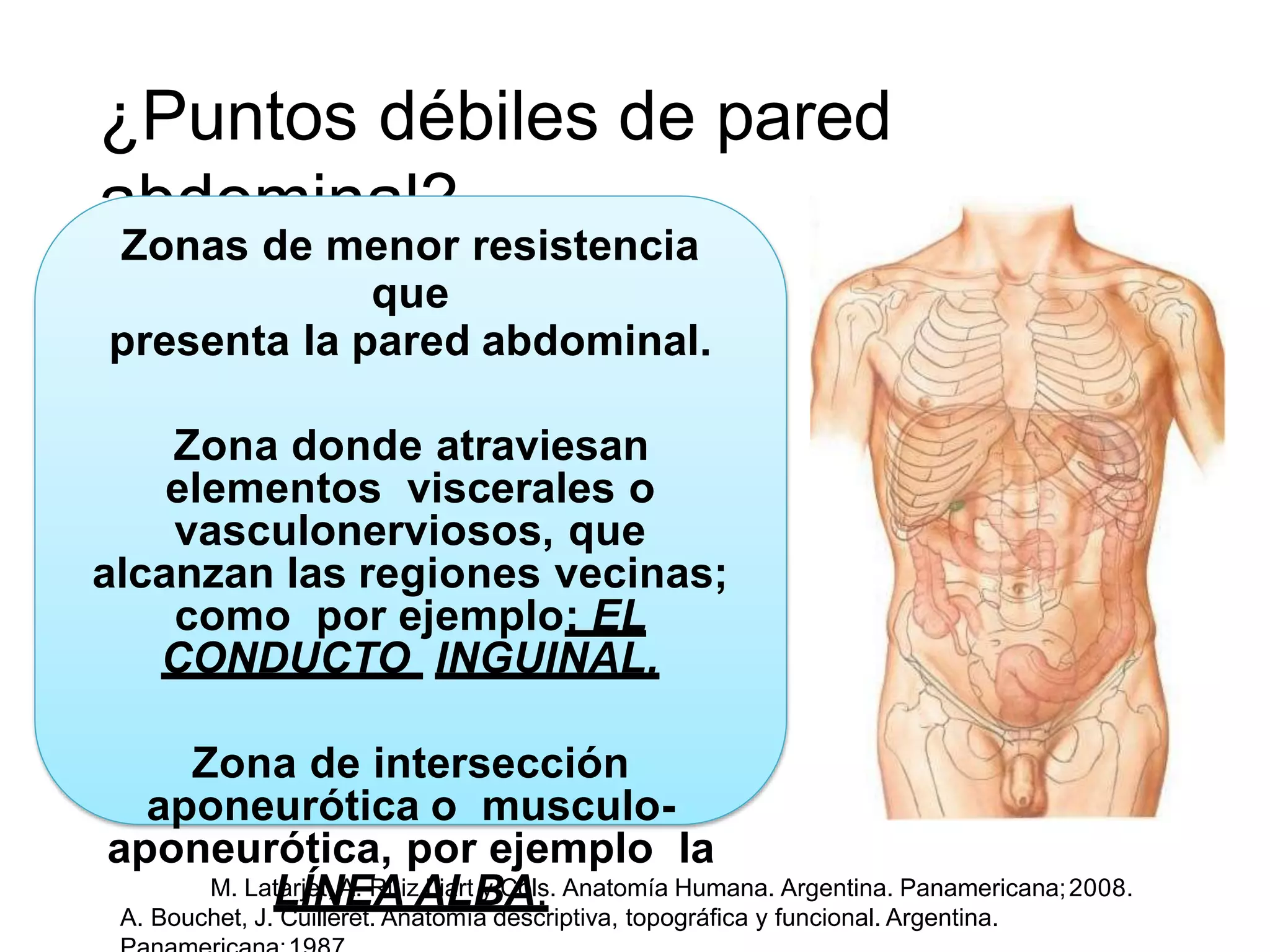 puntos debiles de la apred abdominal.pptx