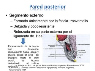 puntos debiles de la apred abdominal.pptx