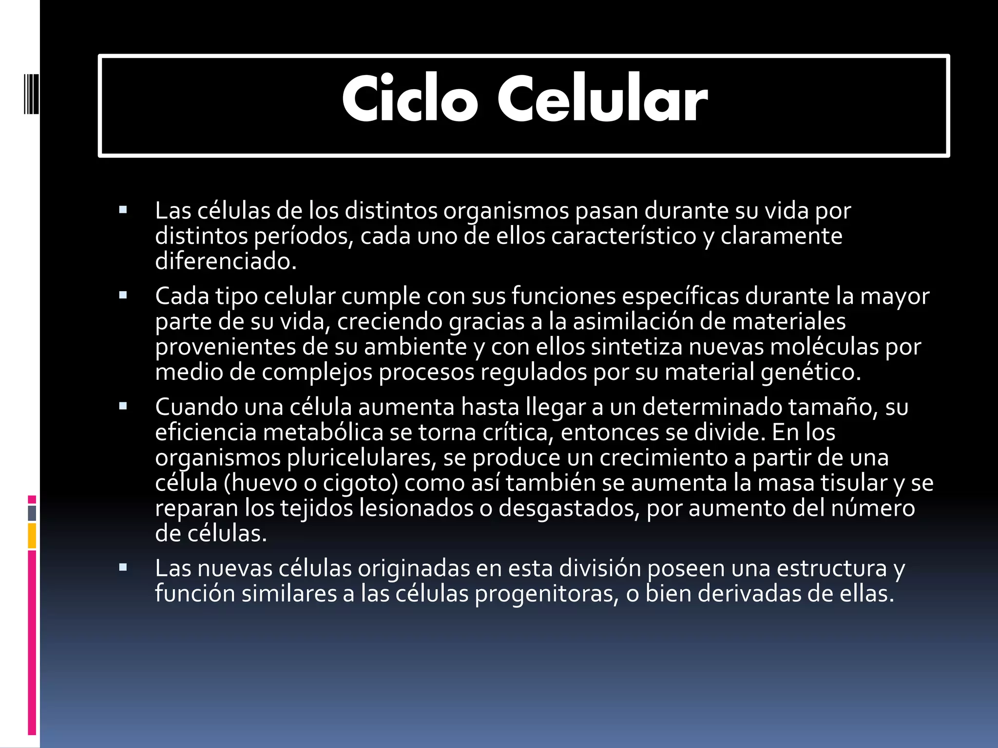 Puntos de control del ciclo celular | PPTX