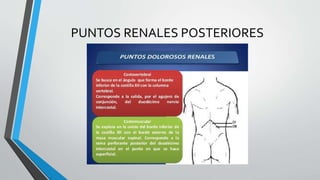 Semiología de los Puntos dolorosos | PPTX