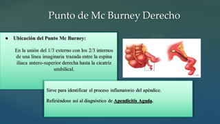 Puntos dolorosos.pdf