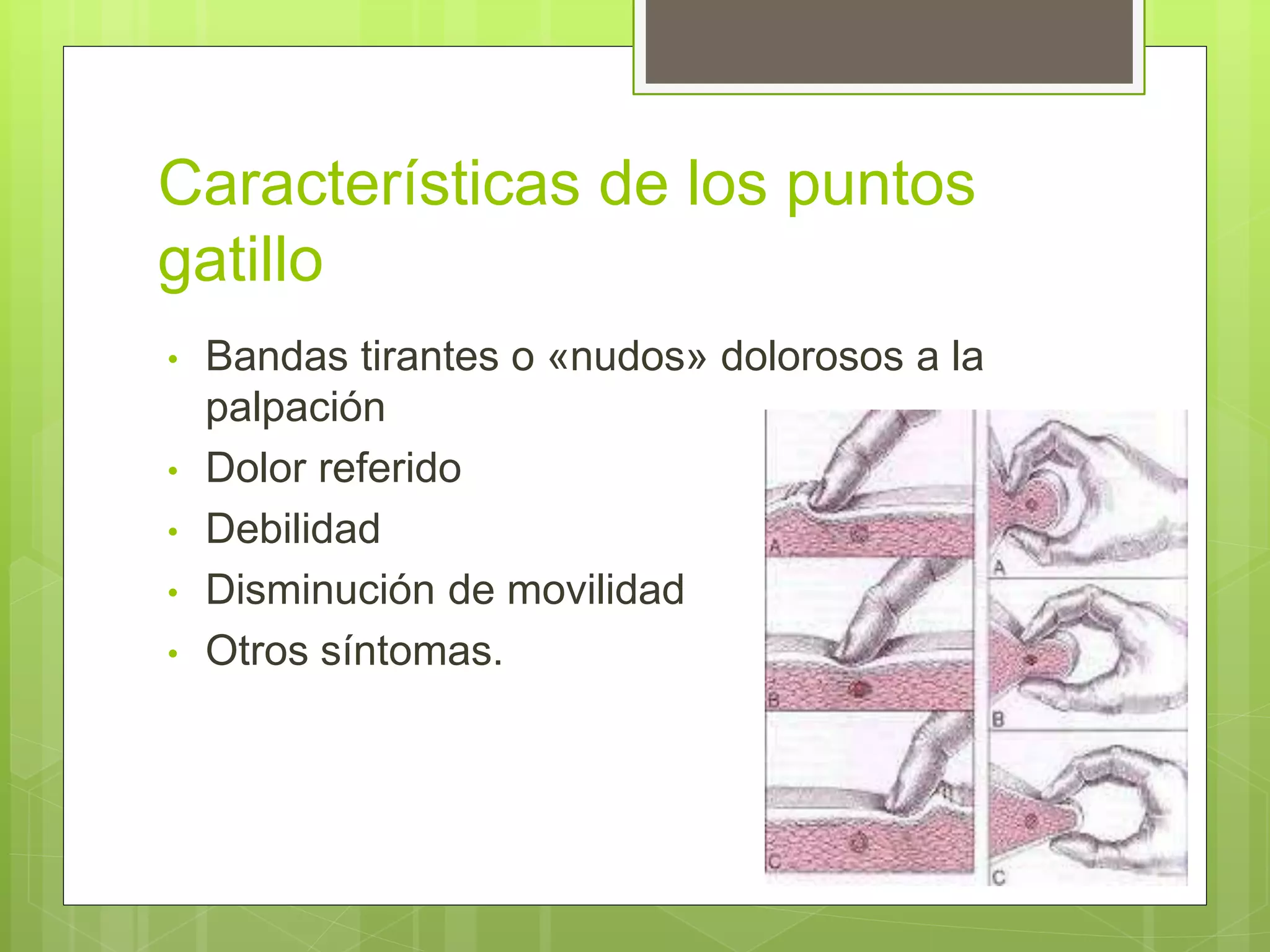Puntos gatillo presentacion | PPTX | Physical Therapy | Wellness