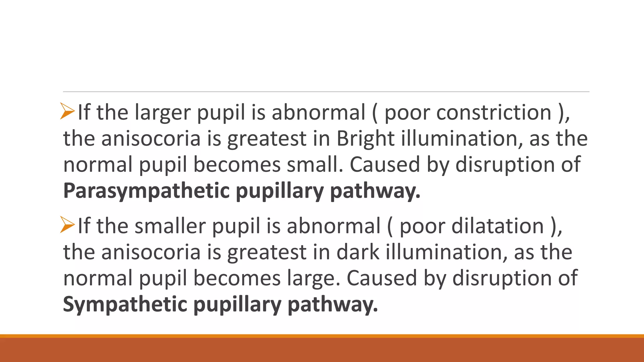 Pupil | PPTX