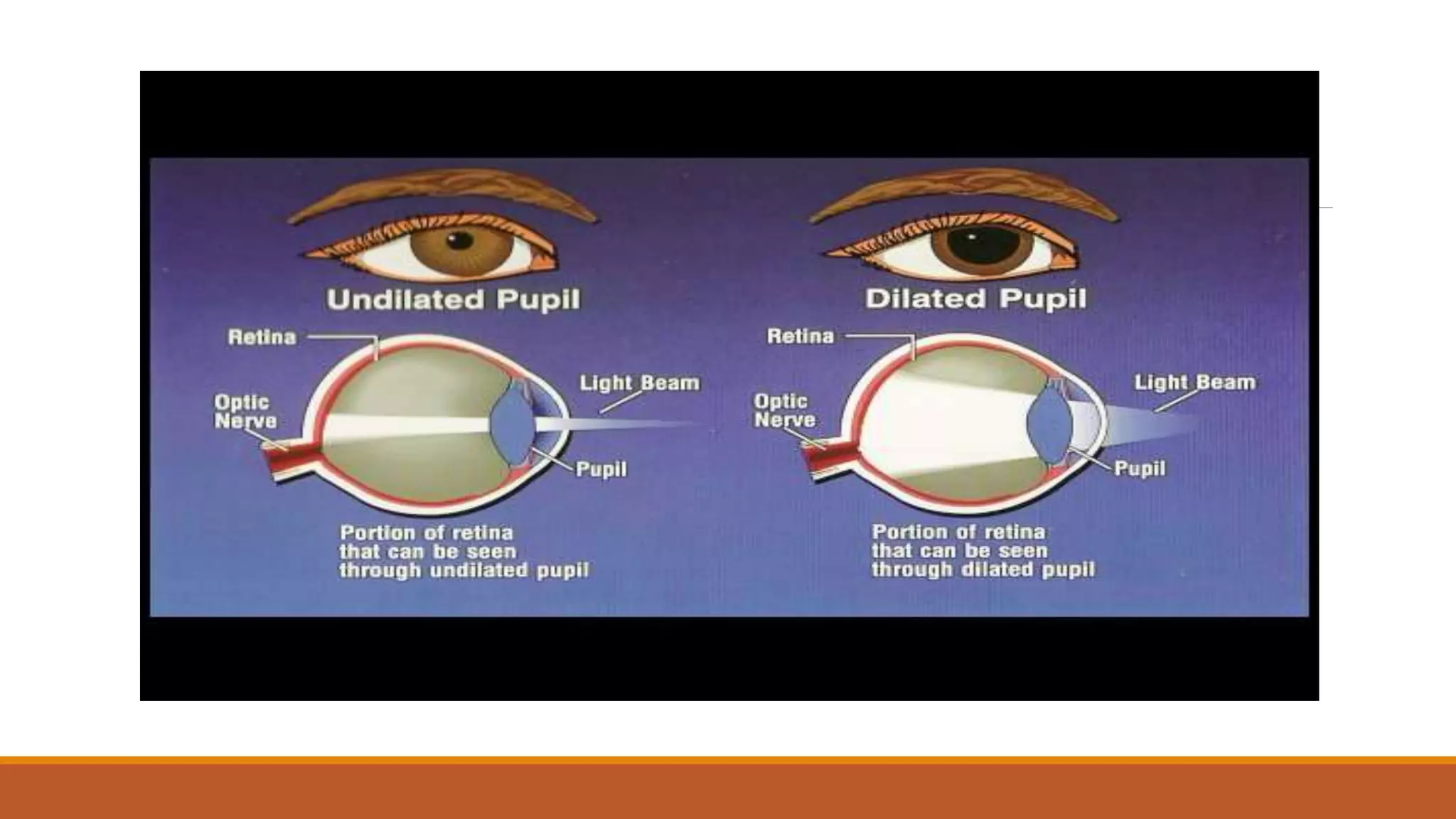 Pupil | PPTX | Eye and Vision Conditions | Diseases and Conditions