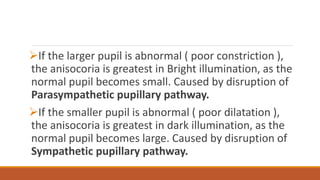 Pupil | PPTX