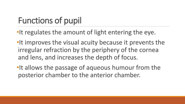 Pupil | PPTX | Eye and Vision Conditions | Diseases and Conditions