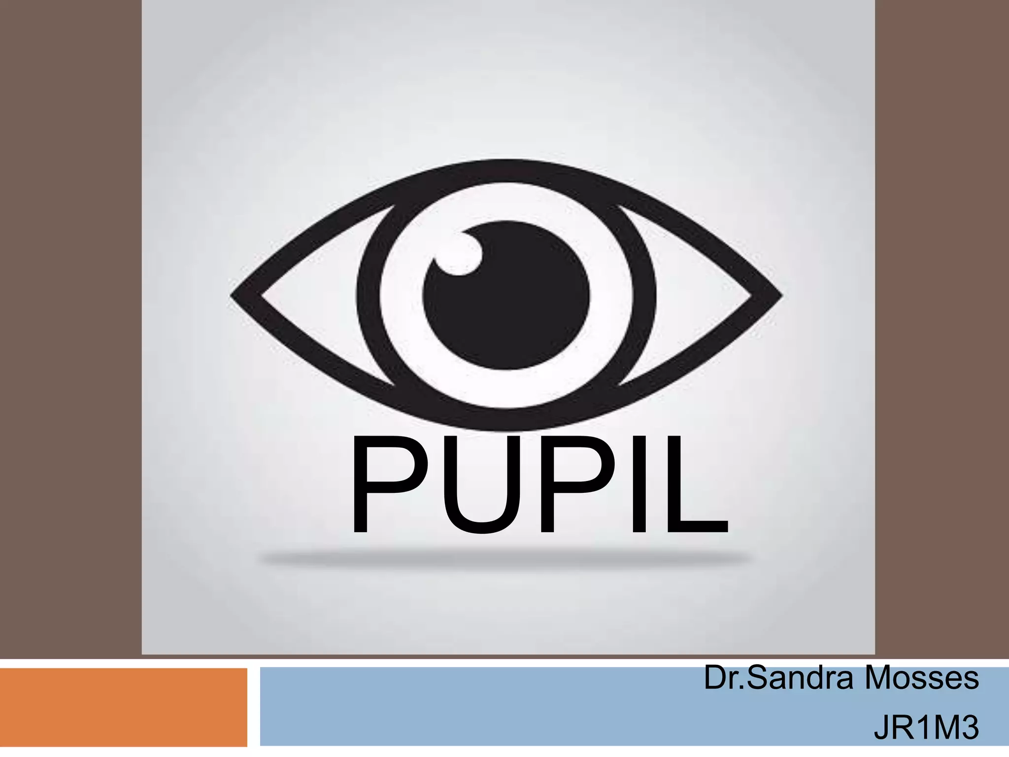 Pupil | PPTX