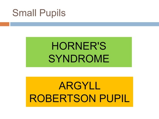 Pupil Pptx