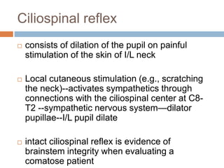 Ciliospinal Reflex