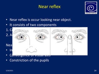 Pupil ppt | PPTX