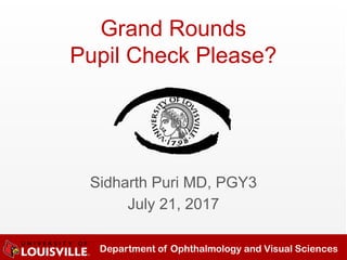 Pupil-Check-Pleaseaaaaaaaaaaaaaaaaaaa.pptx