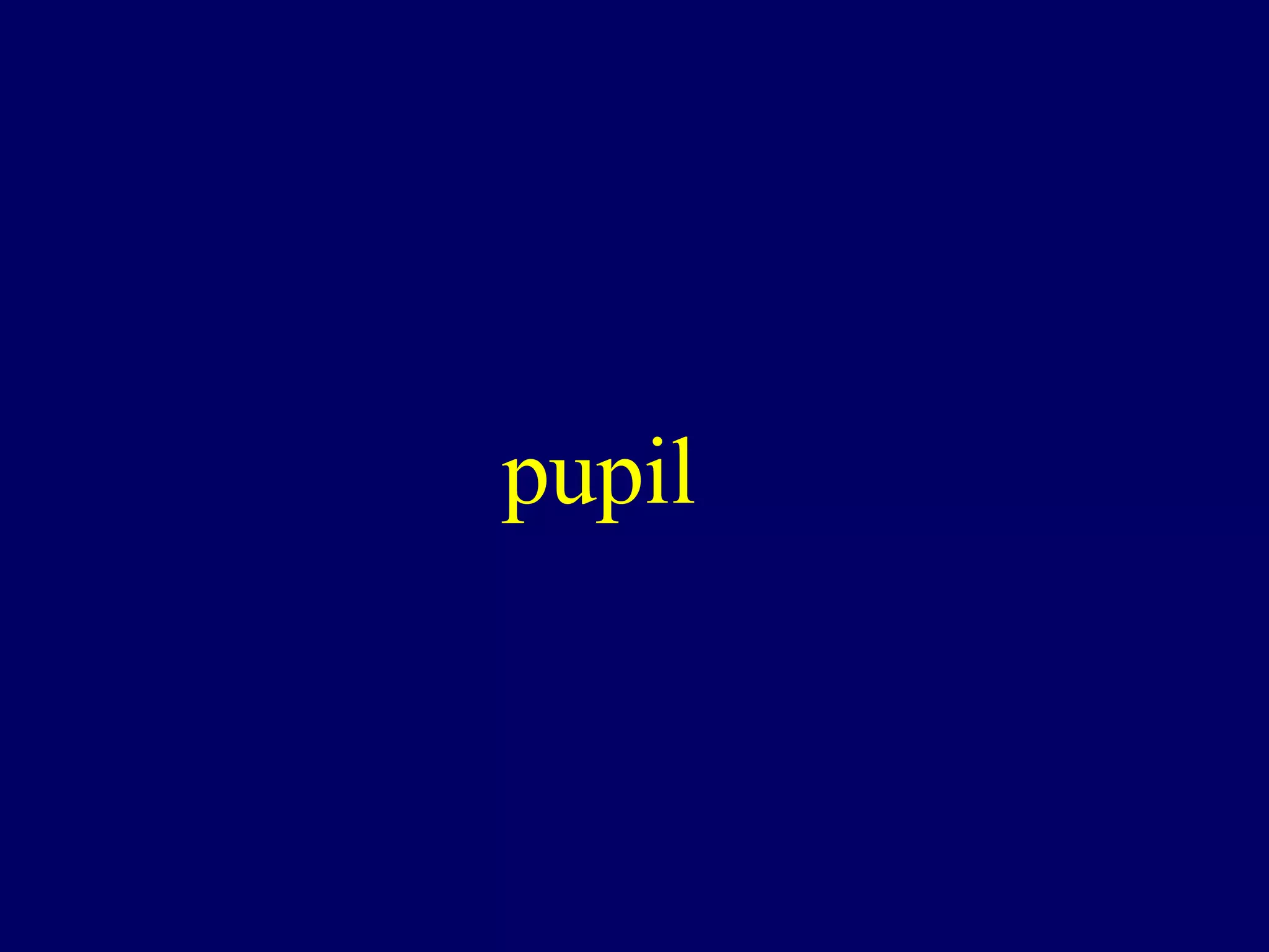 Pupil ppt | PPTX