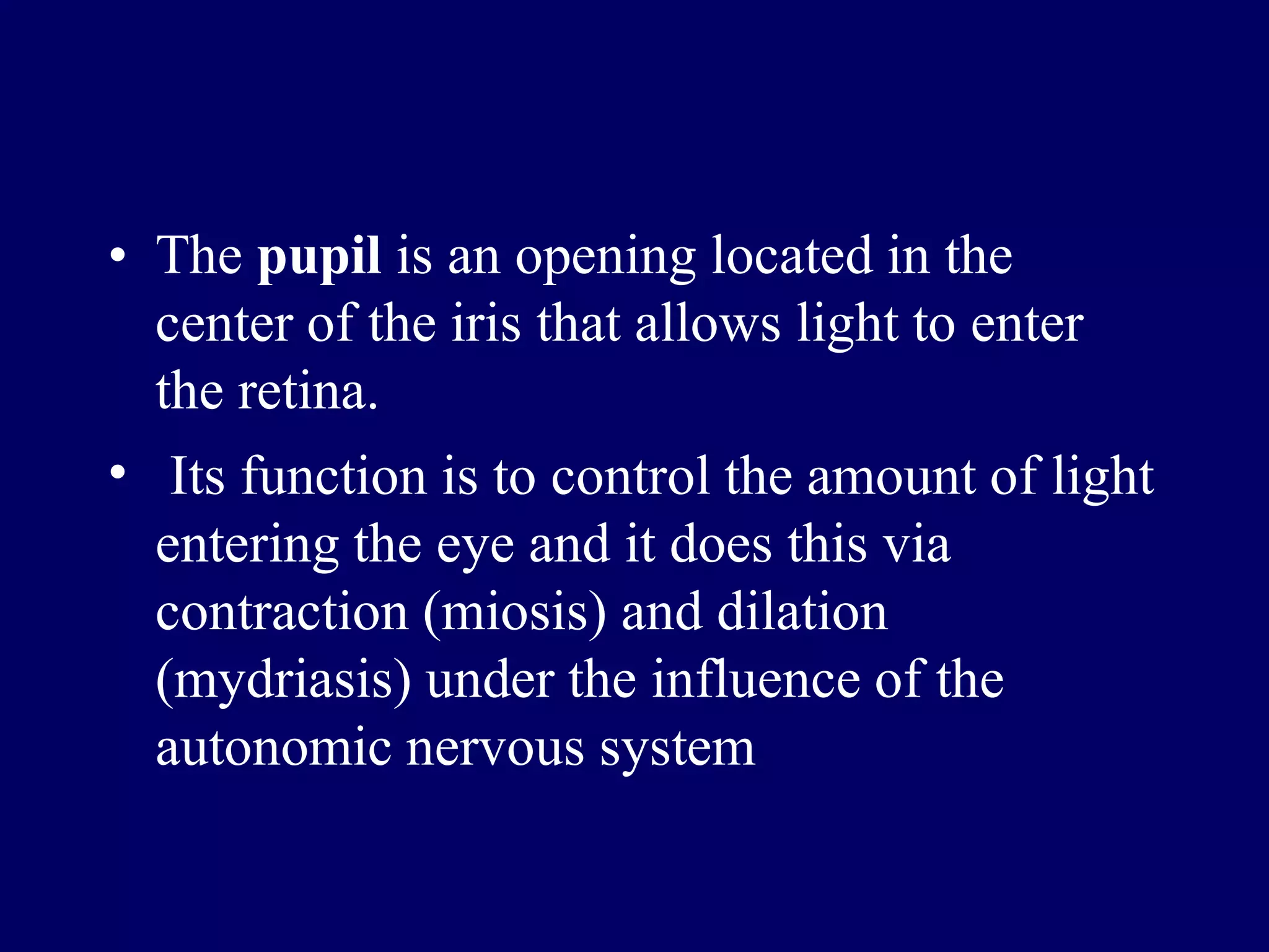 Pupil ppt | PPTX