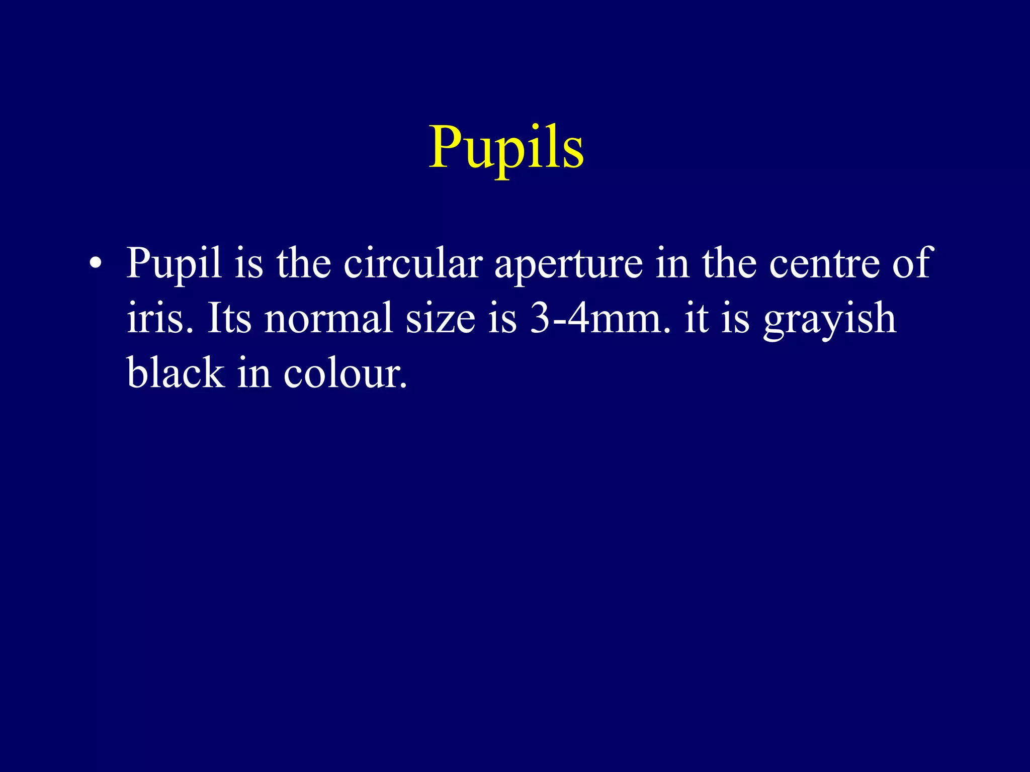 Pupil ppt | PPTX