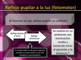 Pupila de Argyll Robertson | PPSX