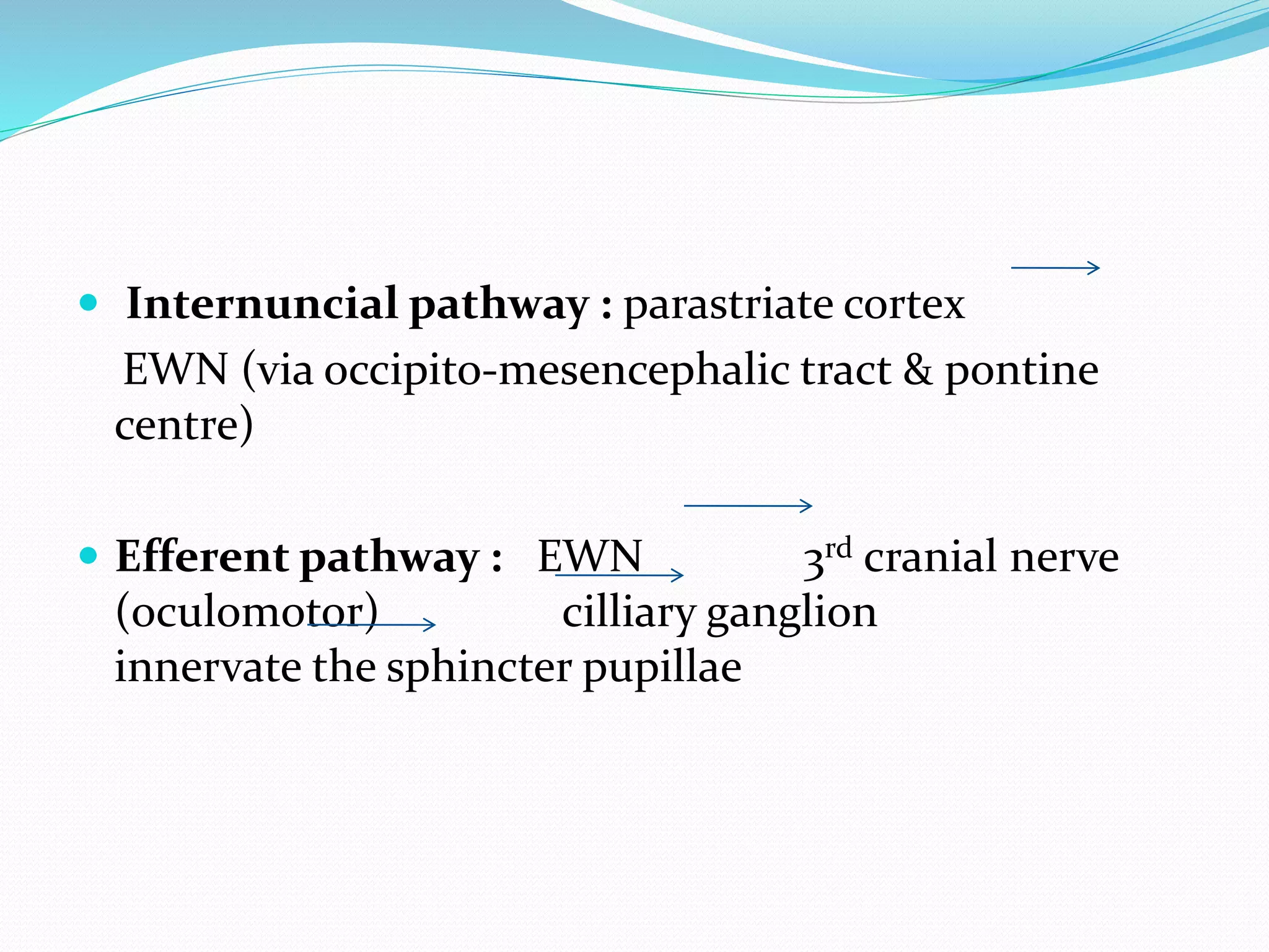 Pupil anatomy and physiology | PPTX