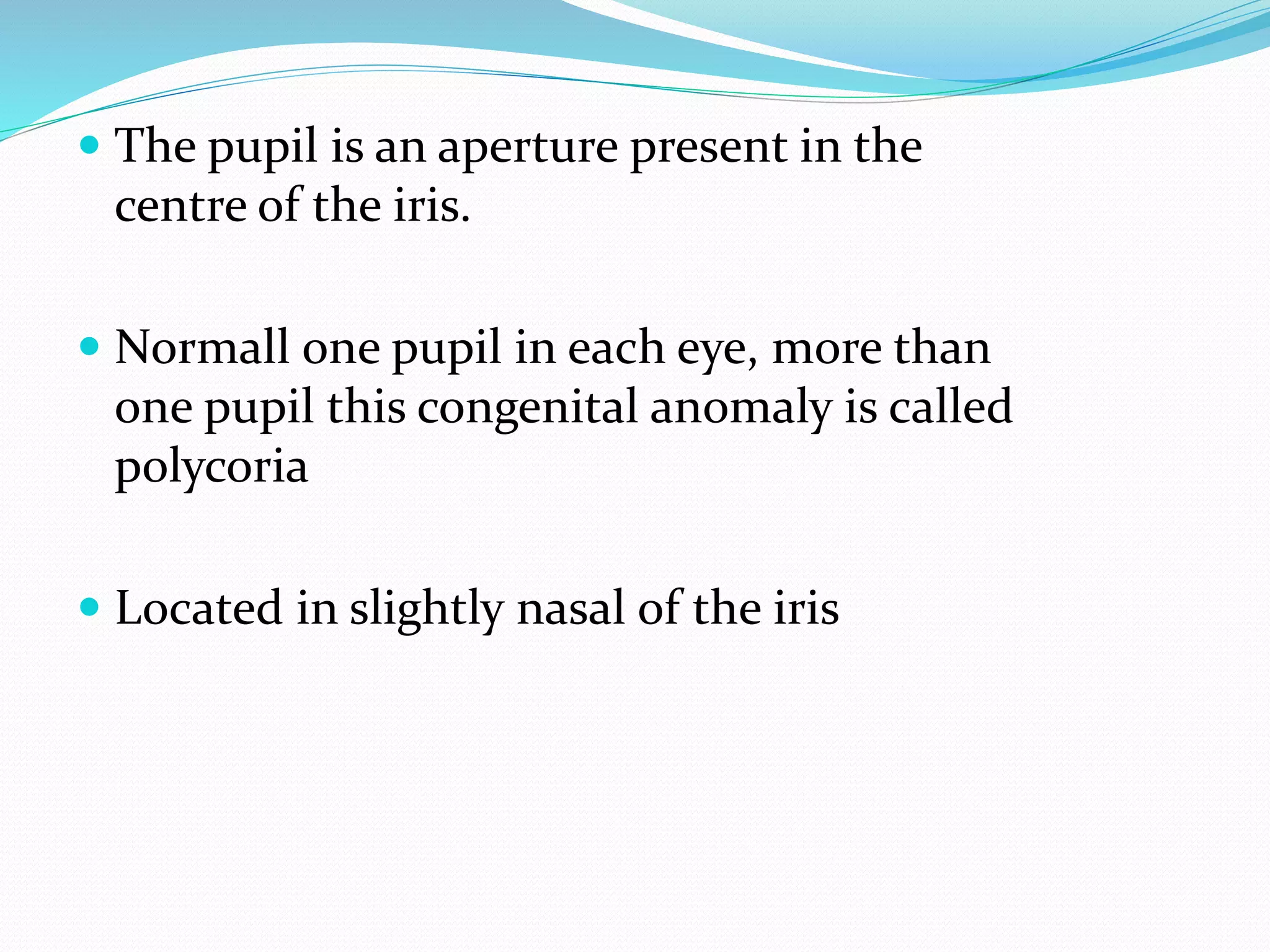Pupil anatomy and physiology | PPTX | Eye and Vision Conditions ...